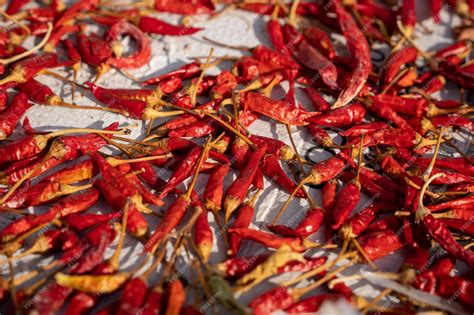 Premium Photo Sun Drying Red Chili Peppers In The Sun Closeup Of Hot Peppers Drying Horizontal