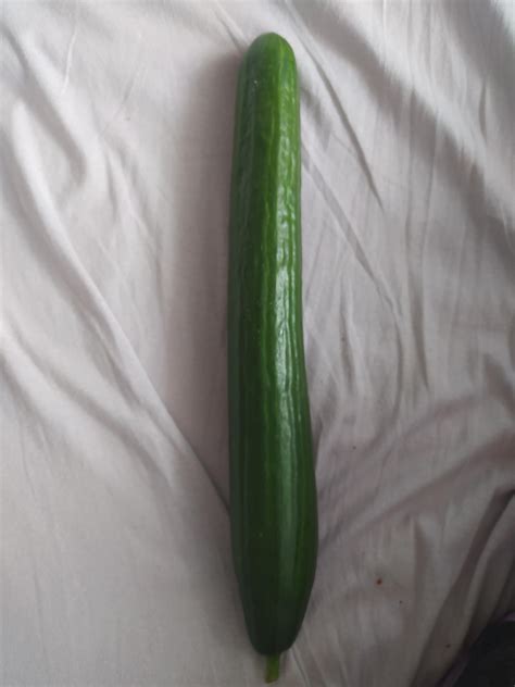 Overview For Fancy Block 3403