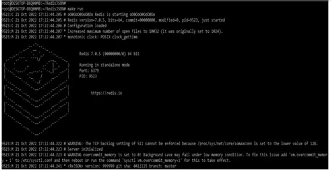 Redisjson Installing Redisjson Using The Source Code