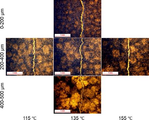 On Linkedin Twin Screw Melt Granulation With Peg 8000 Effect Of Binder