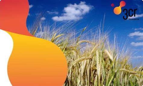 snp genotyping and high resolution mapping of a novel hybrid… shaun clare