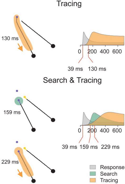 Time Course Of Attentional Processing In The Two Tasks Shown Are