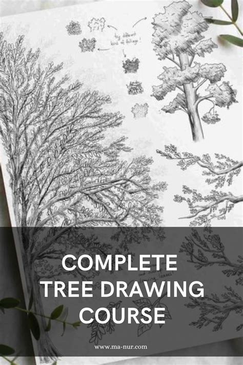How To Draw Trees Step By Step Simple Trees Drawing Tutorials Artofit