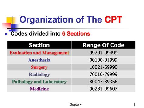 Ppt Procedural Coding Powerpoint Presentation Free Download Id626445