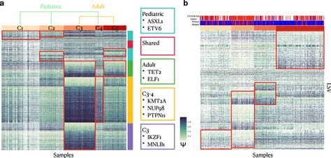 Pediatric Aml And B All Analysis A Heatmap Showing The Tiles Discovered