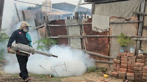 Dengue En Piura Fumigan 34 Mil Viviendas Para Controlar Enfermedad Ante Los Más De 39 Mil Casos