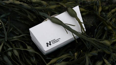 Pioneering Sustainable Packaging With Seaweed Forest Stewardship