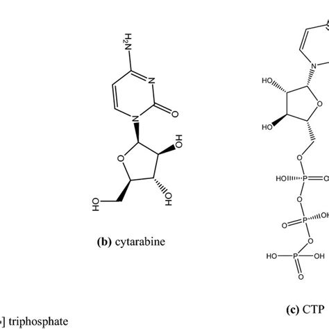A 2′ Deoxyadenosine 5′ α ß Imido Triphosphate B Cytarabine