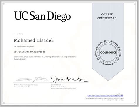 mohamed el sadek on linkedin 🌟 excited to share my achievement 🌟 i m