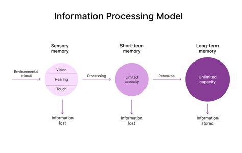 What Is Cognitive Overload In Ux And How Can You Prevent It Logrocket Blog