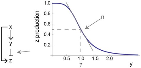 a model for the incoherent feed forward loop includes three