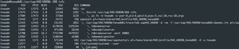 How To Install Sap Hana Express Edition 20 On Ubu Sap Community