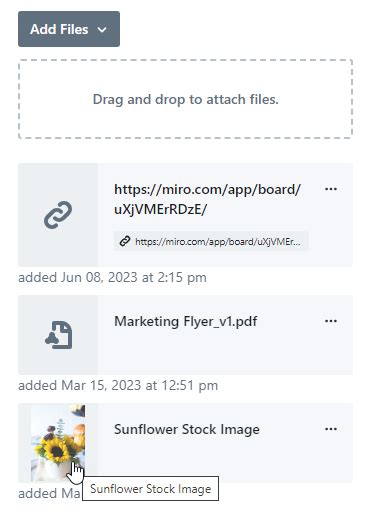 Managing Files Workflow Lytho Support