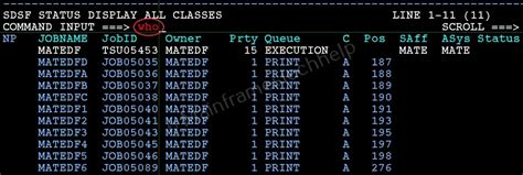 Sdsf Currently Active User Who Command