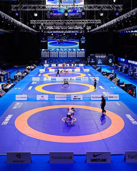 레슬링 여자 자유형 대표팀 파리올림픽 티켓 획득 실패 파이낸셜뉴스