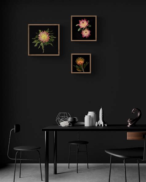 Leucospermum Cordifolium Check My Plants