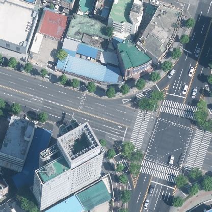 Treedetection Object Detection Dataset And Pre Trained Model By Treedetection