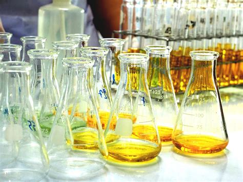 Cyclodextrin Nanosponges A Revolutionary Drug Delivery Strategy