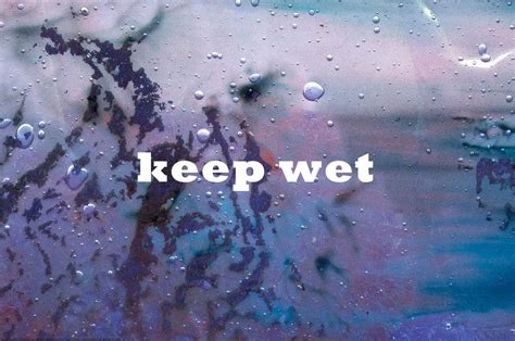 Wet 是什么意思啊 Fox是什么意思 伤感说说吧