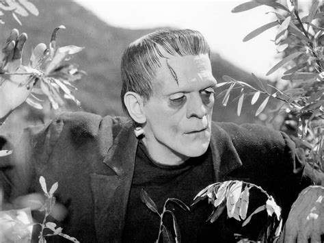 Ica Frankenstein