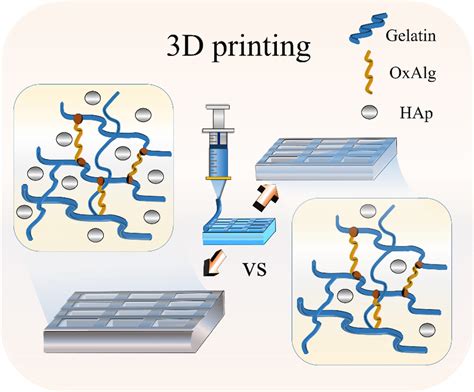 Impact Of Hydroxyapatite On Gelatinoxidized Alginate 3d Printed