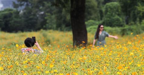 성큼 다가온 가을