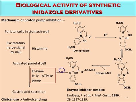 Imidazole Derivatives Biological Activity And Synthetic Approaches