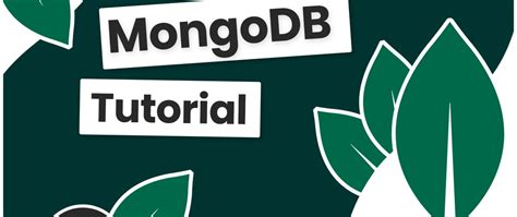 Mongodb For Beginners The Complete Guide To Crud Operations Dev Community
