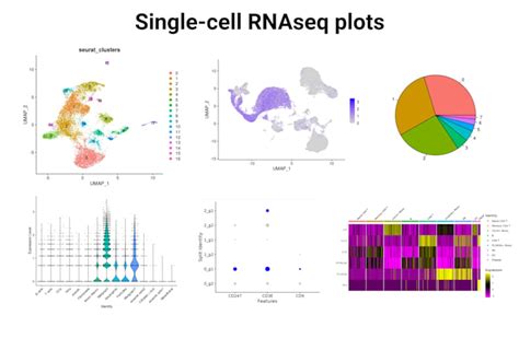 Single Cell Rnaseq Analysis By Guillevb Fiverr