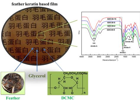 Polymers Free Full Text Preparation And Characterization Of Edible