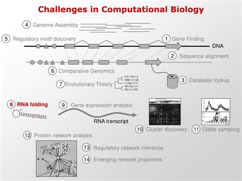 Ppt Rna Secondary Structure Powerpoint Presentation Free Download