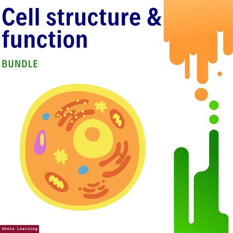 Cell Explorer Cell Structure And Function Reading Comprehension