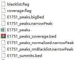 Output NarrowPeaks Issue Databio Pepatac GitHub