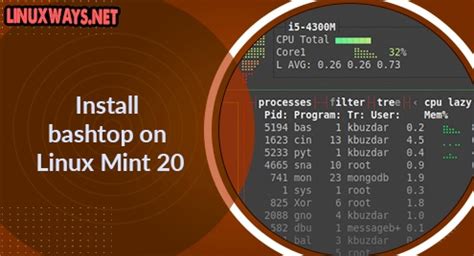 Install Bashtop On Linux Mint LinuxWays
