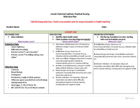 Ngn Care Plan Template For Copd Management In Pn Course Studocu