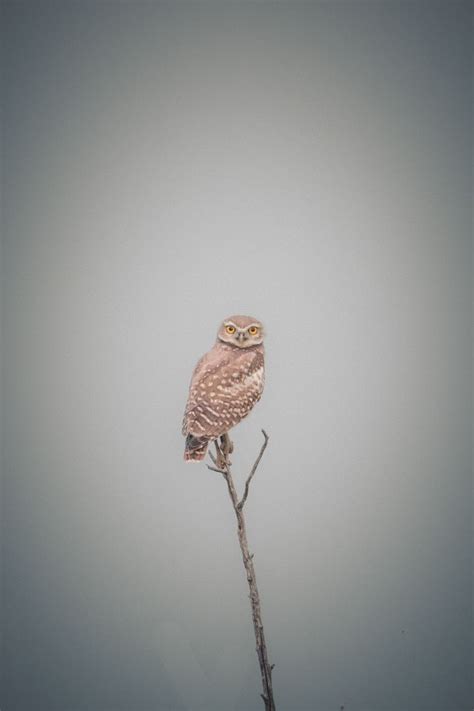 Meet Caliay Pratt Medical Coder And Photographer Shoutout Colorado