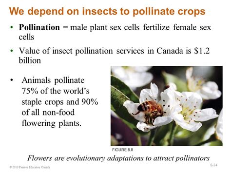 Geog 101 Fall 2014 Day 8 Agriculture Ppt Video Online Download