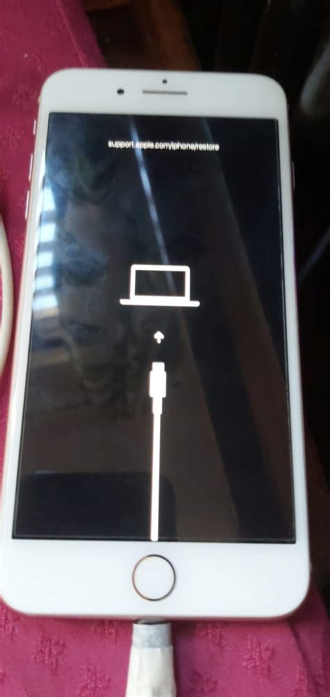 Iphone Disconnected During A Restore Apple Community