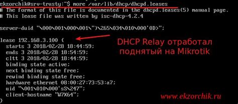 Как поднять isc dhcp server на Ubuntu Trusty Реальные заметки Ubuntu Mikrotik Windows