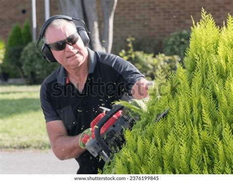 1개의 Toni What It Is And How To Use It In The Garden 이미지 스톡 사진 3d 오브젝트 벡터 Shutterstock