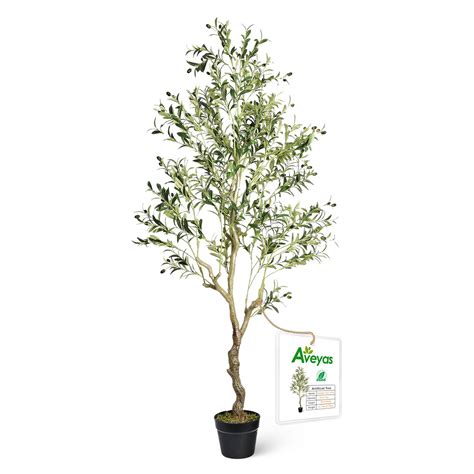 Aveyas 7ft Artificial Olive Tree In Cemented Plastic Pot 7 Feet Tall Large Fake Silk Trees Faux