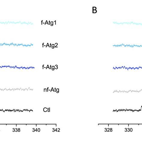Free Radical Release Epr Spectra Of A [dmpo Oh] • And B [dmpo Co