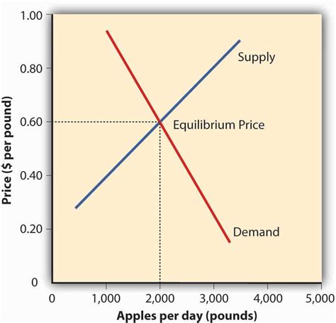 How Is Equilibrium Price Determined In A Market Explained
