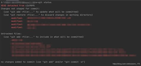 Git自救——解决git头指针分离状态the Git Repository At The Following Path Is In The