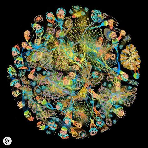 Visualizing Neural Networks As Large Directed Graphs Oc Dataisbeautiful Directed Graph