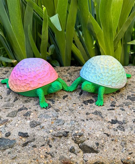 Box Turtle Boxes 3d Model By Davemakesstuff On Thangs