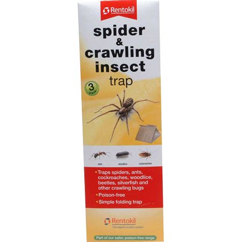Jumping Spider Trap At Sophia Dadswell Blog
