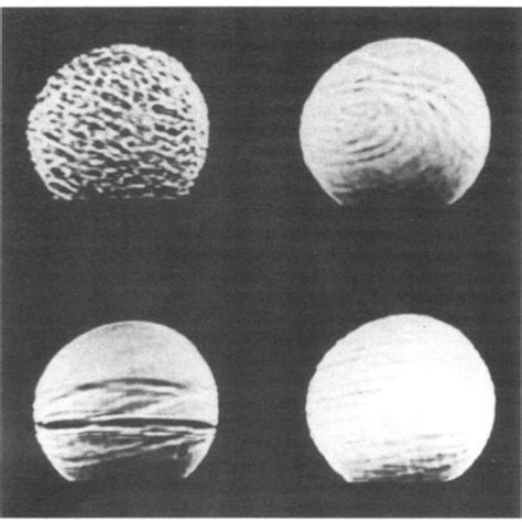 Pdf Double Diffusion In Oceanography