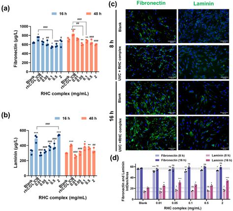 Recombinant Humanized Collagen Enhances Secreted Protein Levels Of Fibroblasts And Facilitates