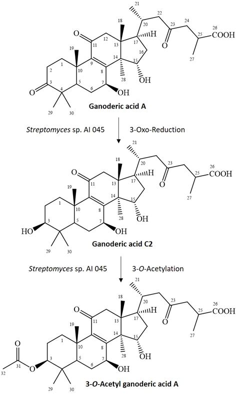 Biotransformation Of Ganoderic Acid A To 3 O Acetyl Ganoderic Acid A By